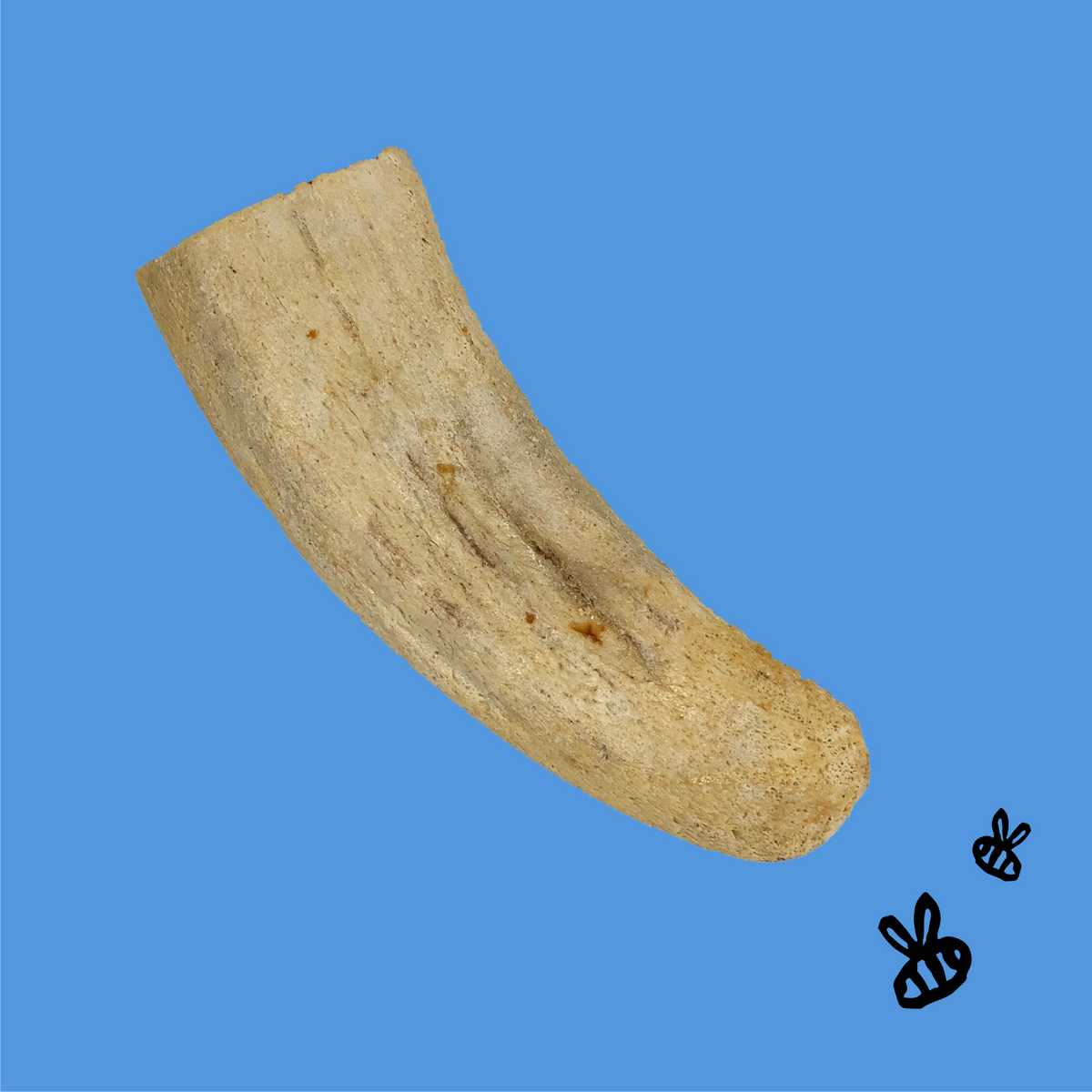Buffalo Horn Core Chews for Dogs – Honey I'm Home Treats